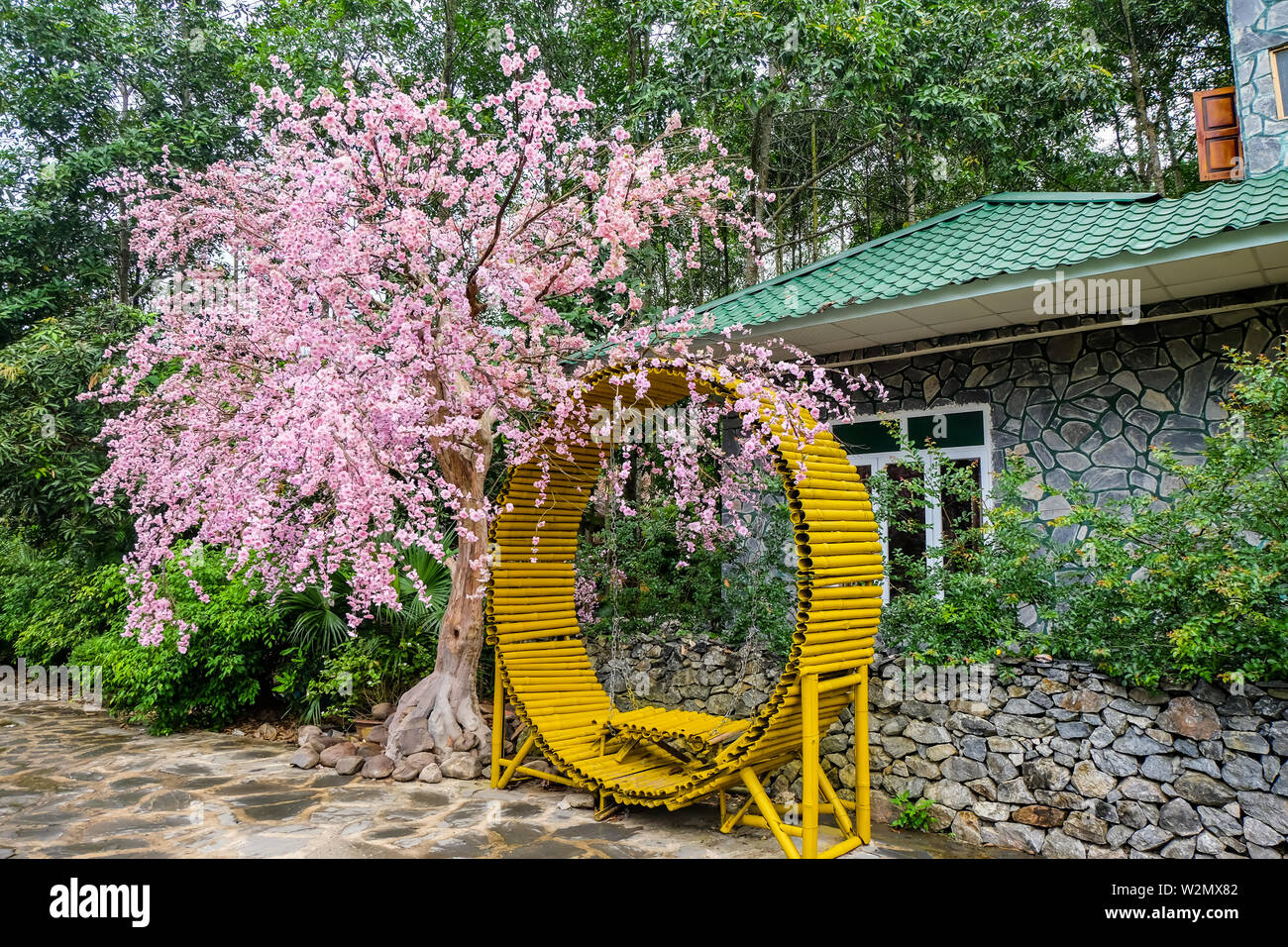 Attractive tree in bloom at resort in Ha Giang, Vietnam Stock Photo - Alamy