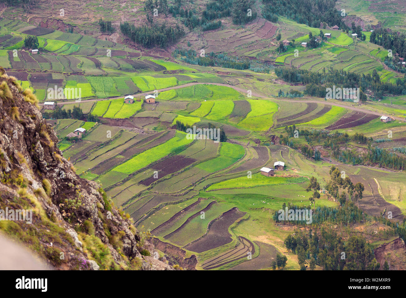 Green terraced fields in the mountain in Amhara province near city ...