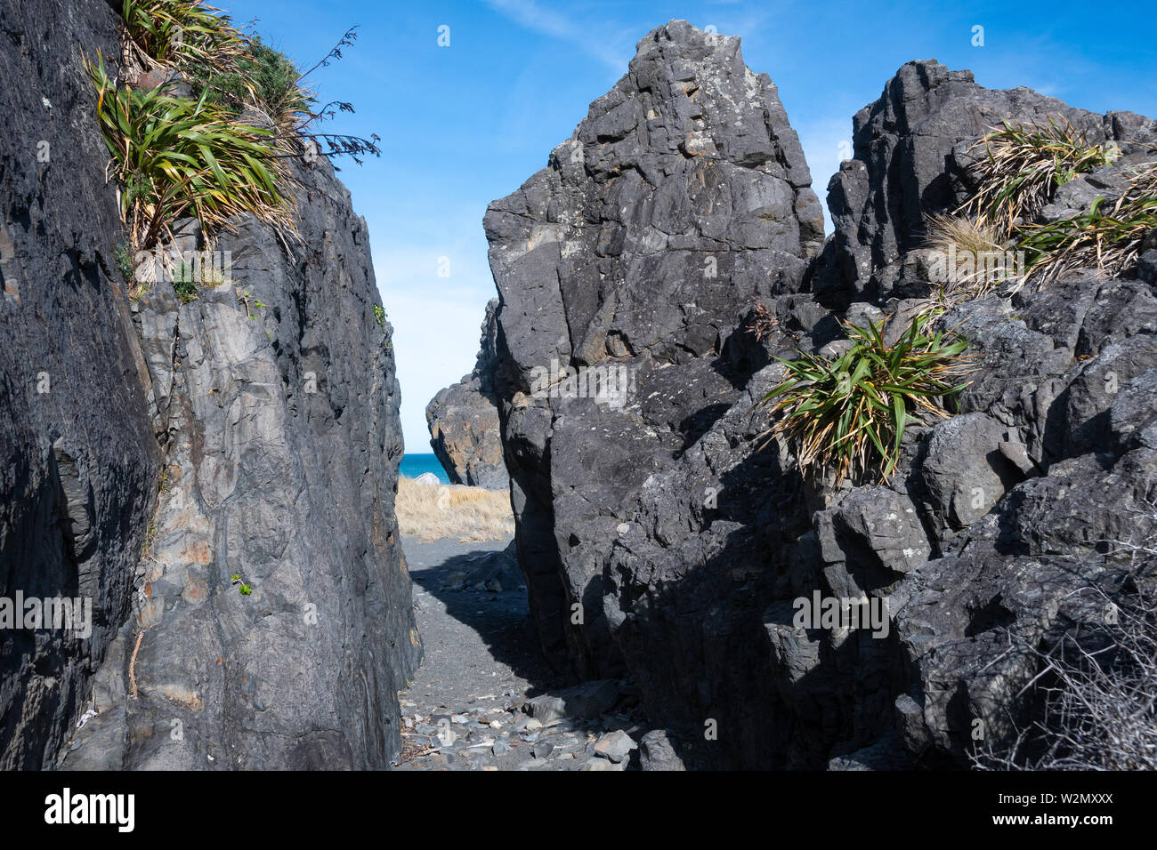 Greywacke sandstone rocks hi-res stock photography and images - Alamy