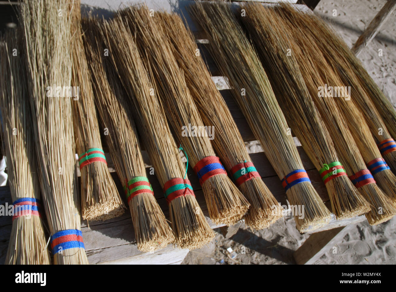 Reed brushes hi-res stock photography and images - Alamy