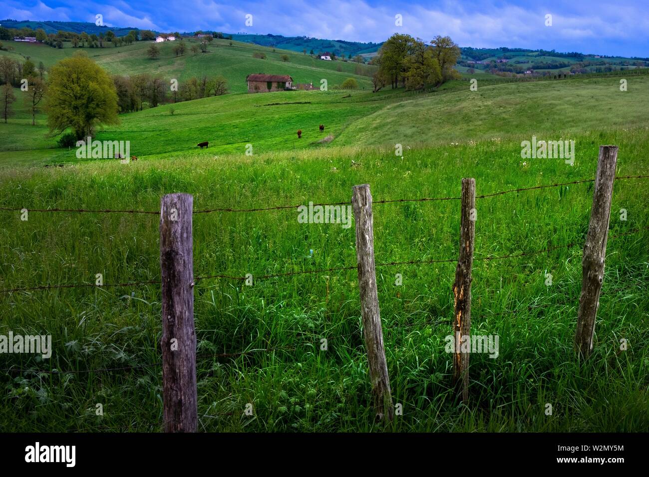 Spring horizontal landscape hi-res stock photography and images - Alamy