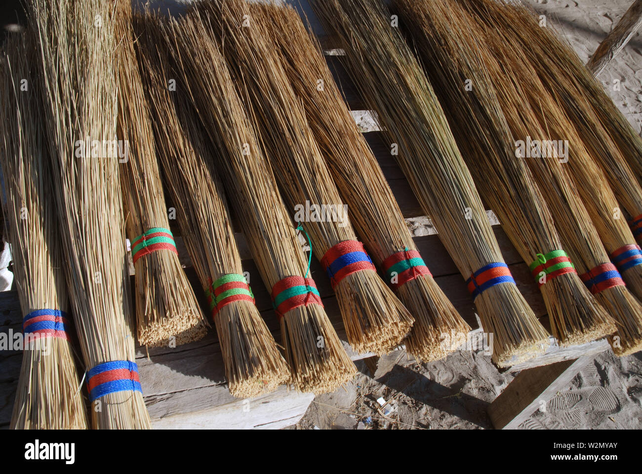 Reed brushes hi-res stock photography and images - Alamy