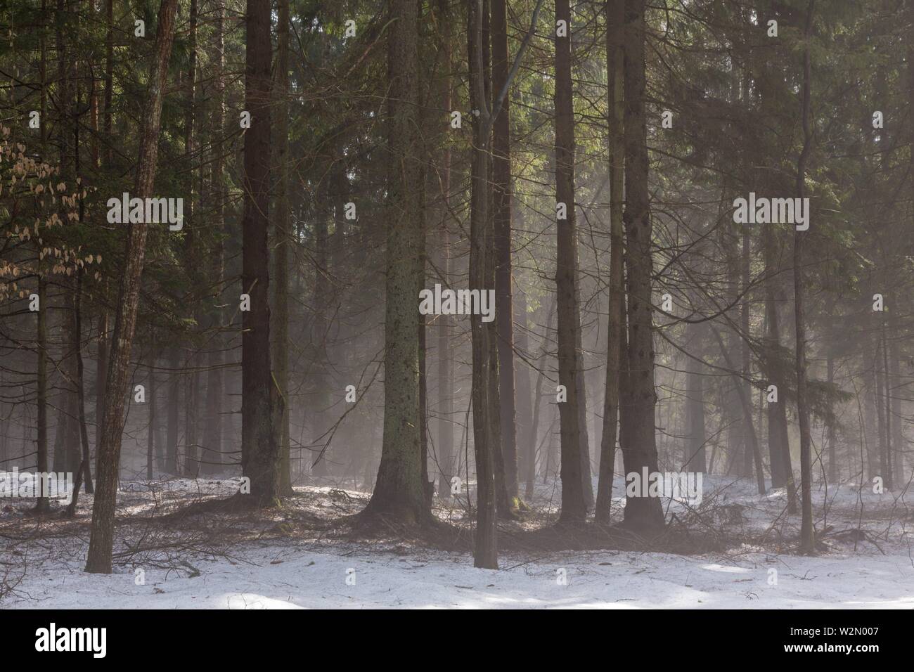 Mist layer hi-res stock photography and images - Alamy