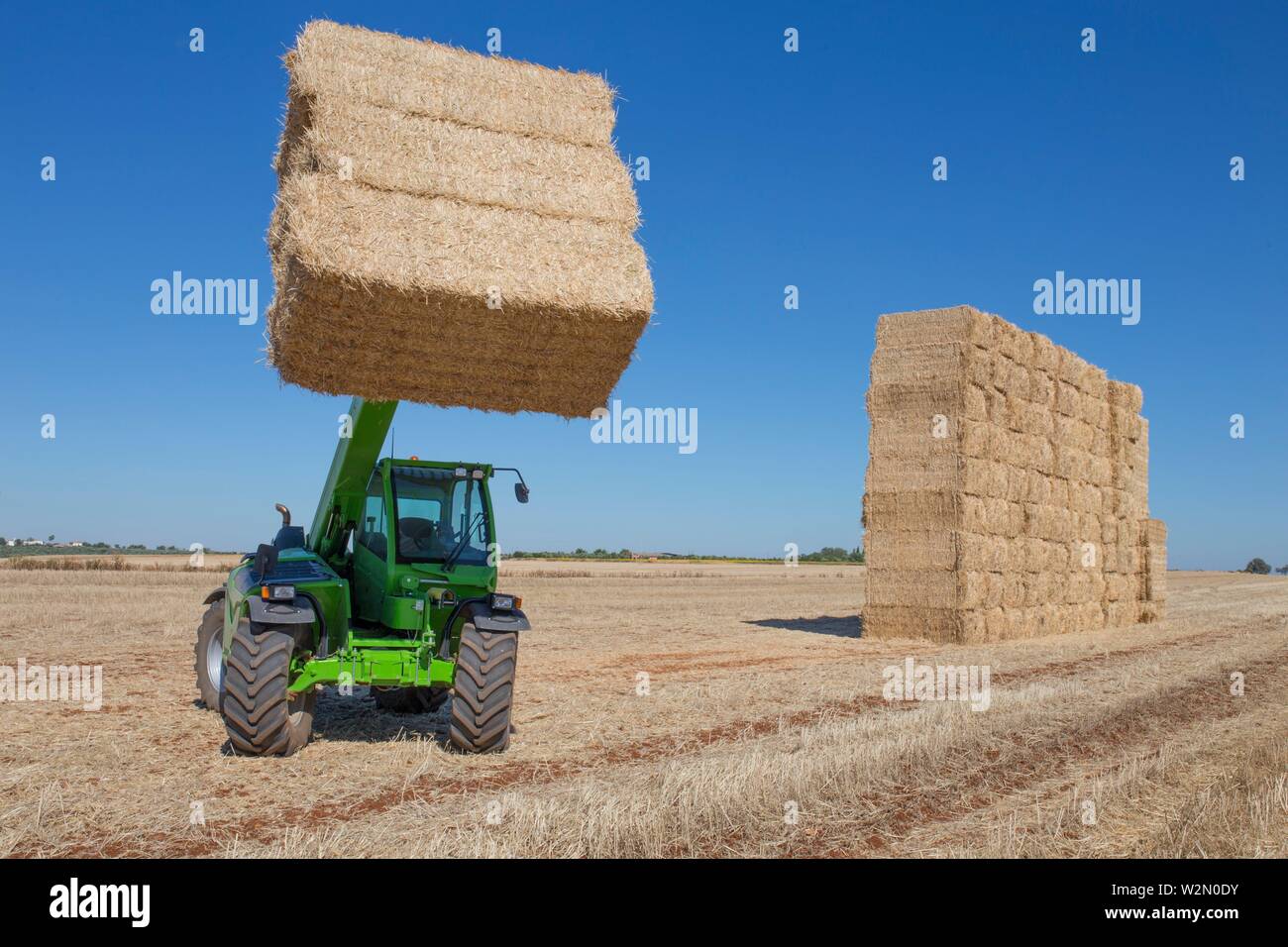 Telescopic handler gathering bales hi-res stock photography and images ...
