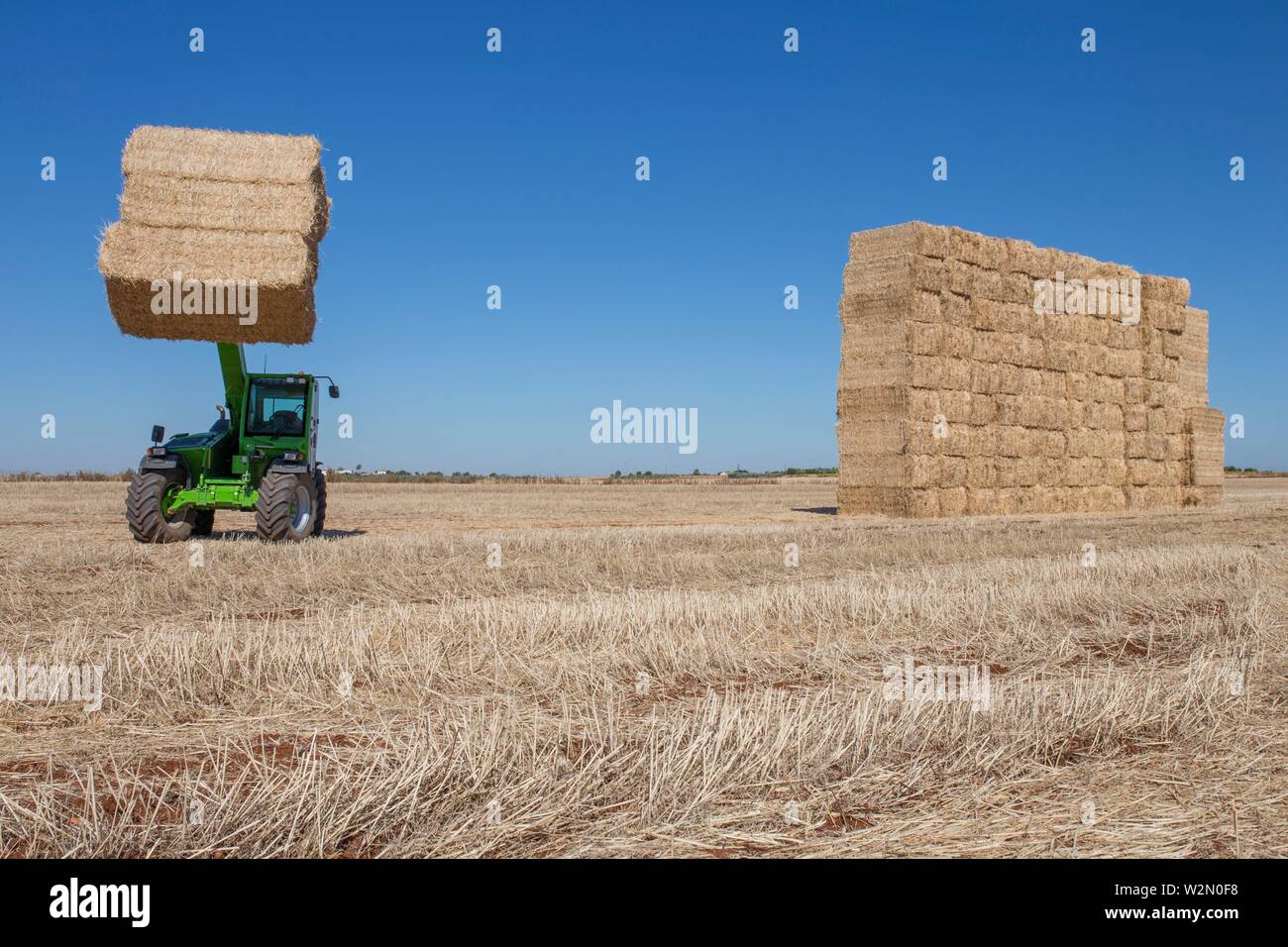 Powerful telescopic handler hi-res stock photography and images - Alamy