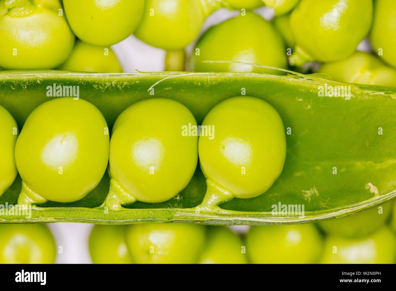 Inside a seed pod hi-res stock photography and images - Alamy