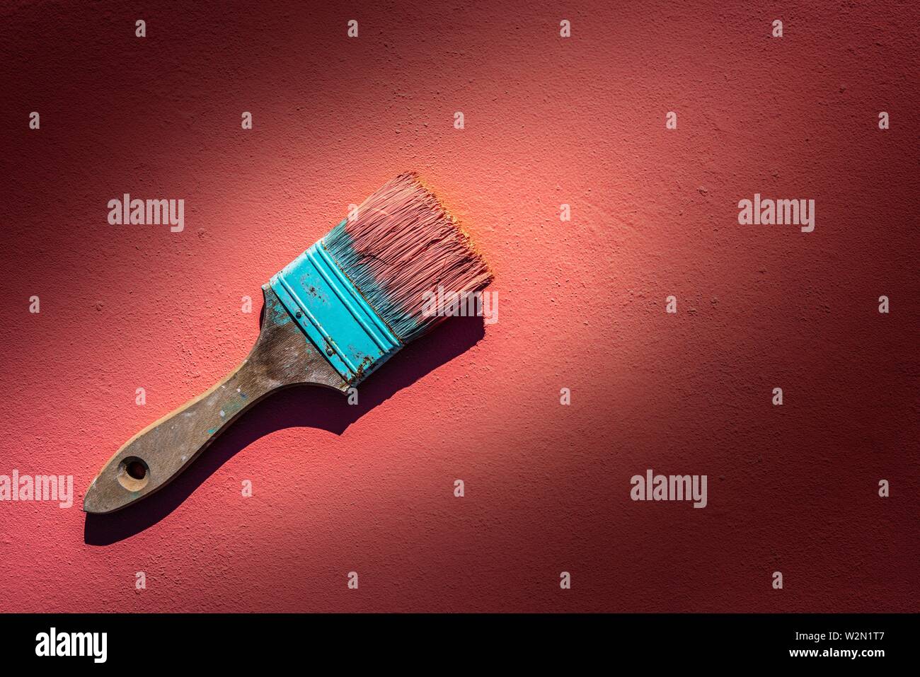 Brush Coral High Resolution Stock Photography and Images - Alamy