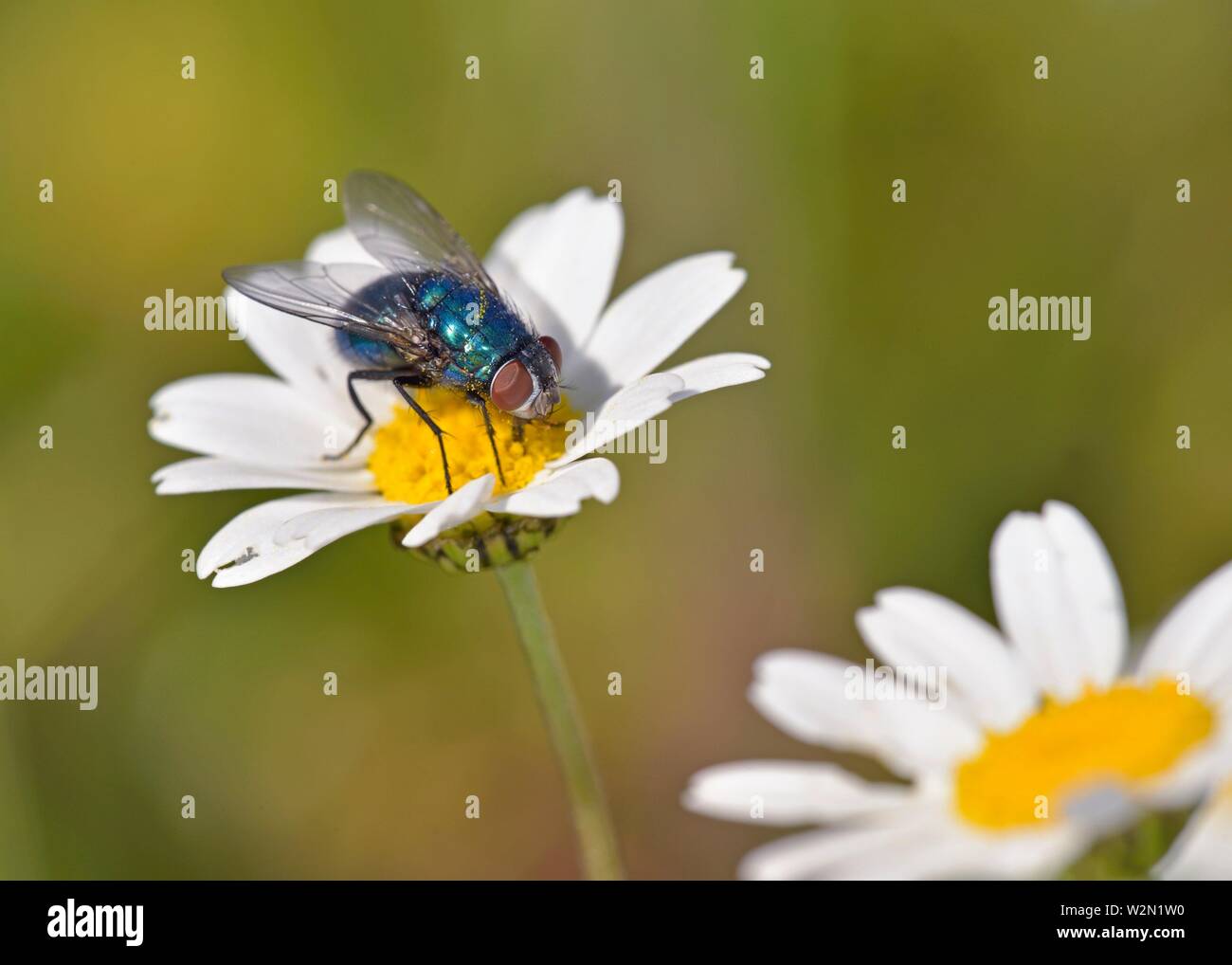 Eye of crete hi-res stock photography and images - Alamy