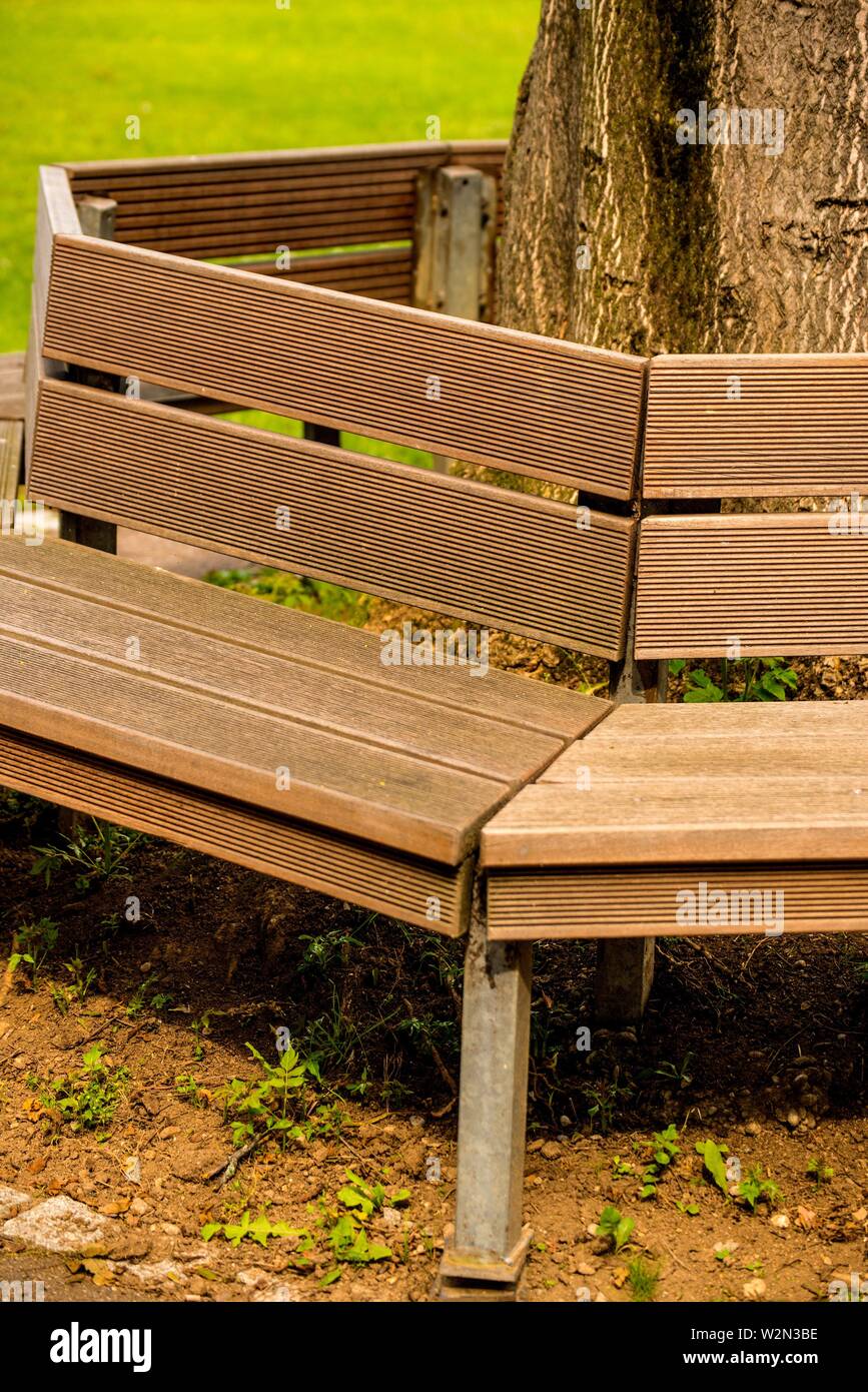 Bench Around Tree High Resolution Stock Photography and Images - Alamy