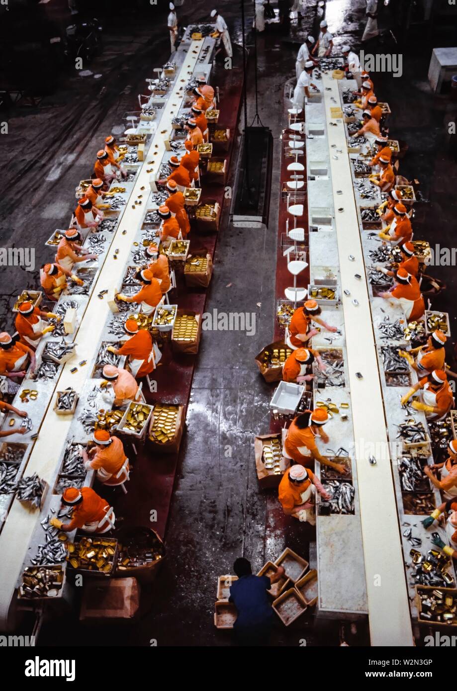 Seafood Processing Stock Photos & Seafood Processing Stock Images - Alamy