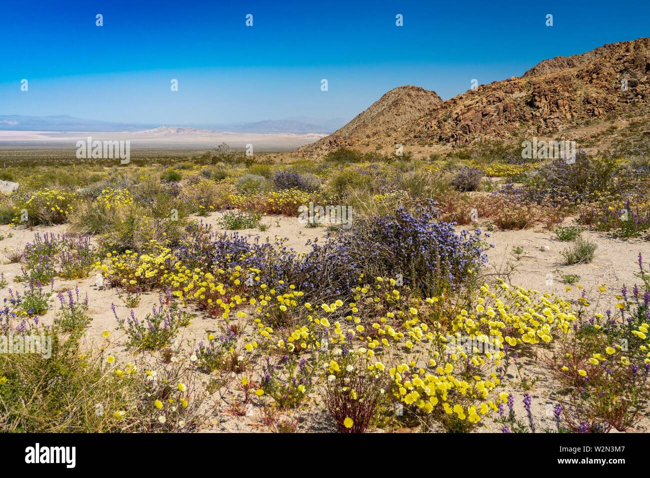 Route 66 in desert landscape hi-res stock photography and images - Alamy