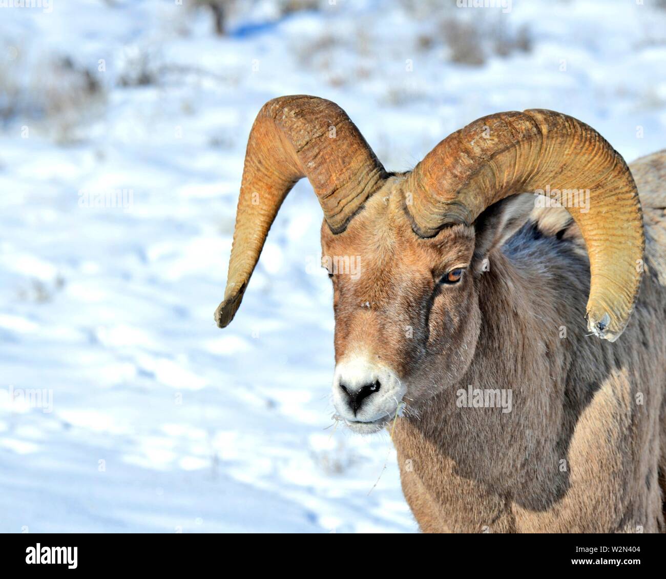 Horizontal lip hi-res stock photography and images - Alamy