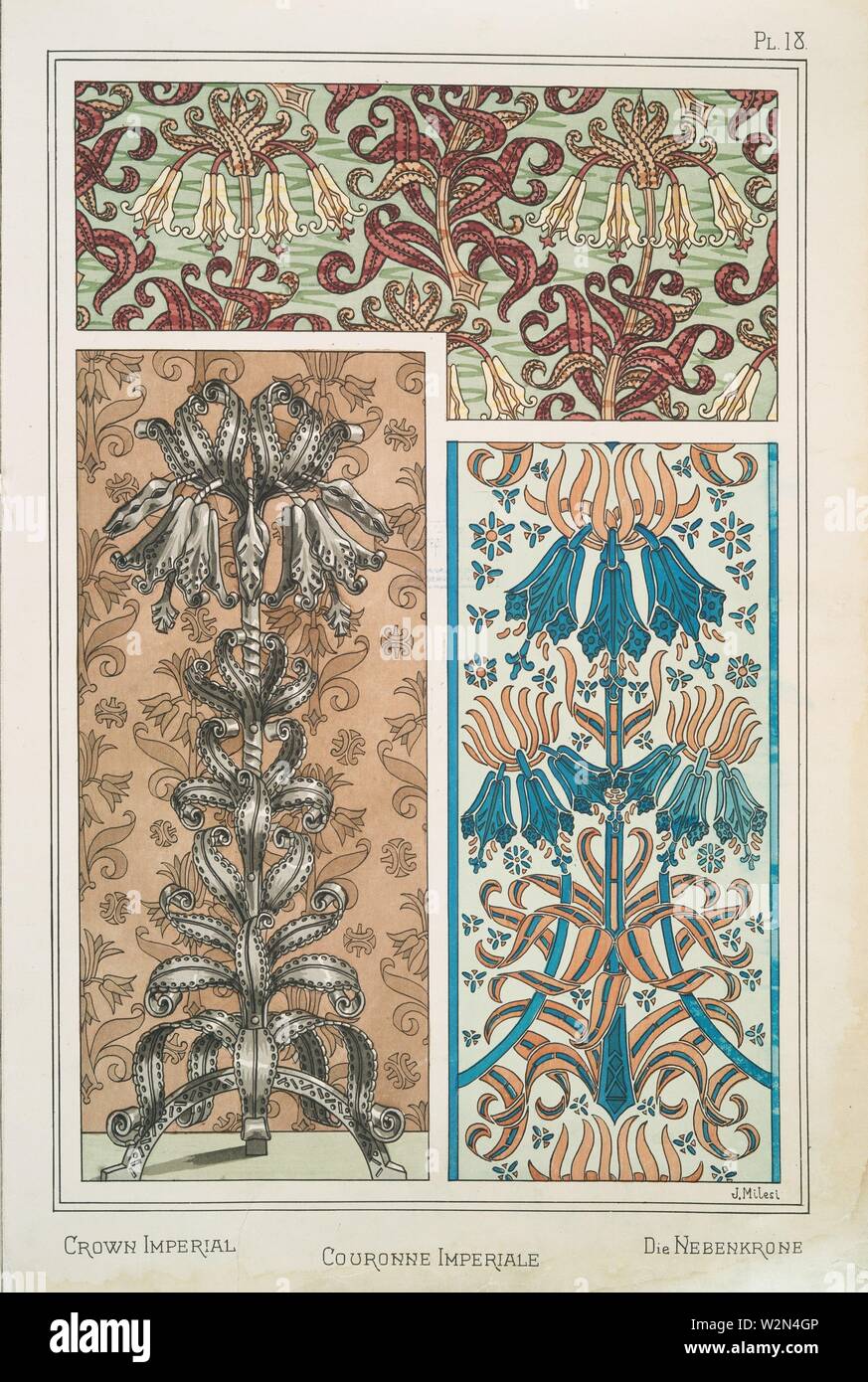 Plante ornementales hi-res stock photography and images - Alamy