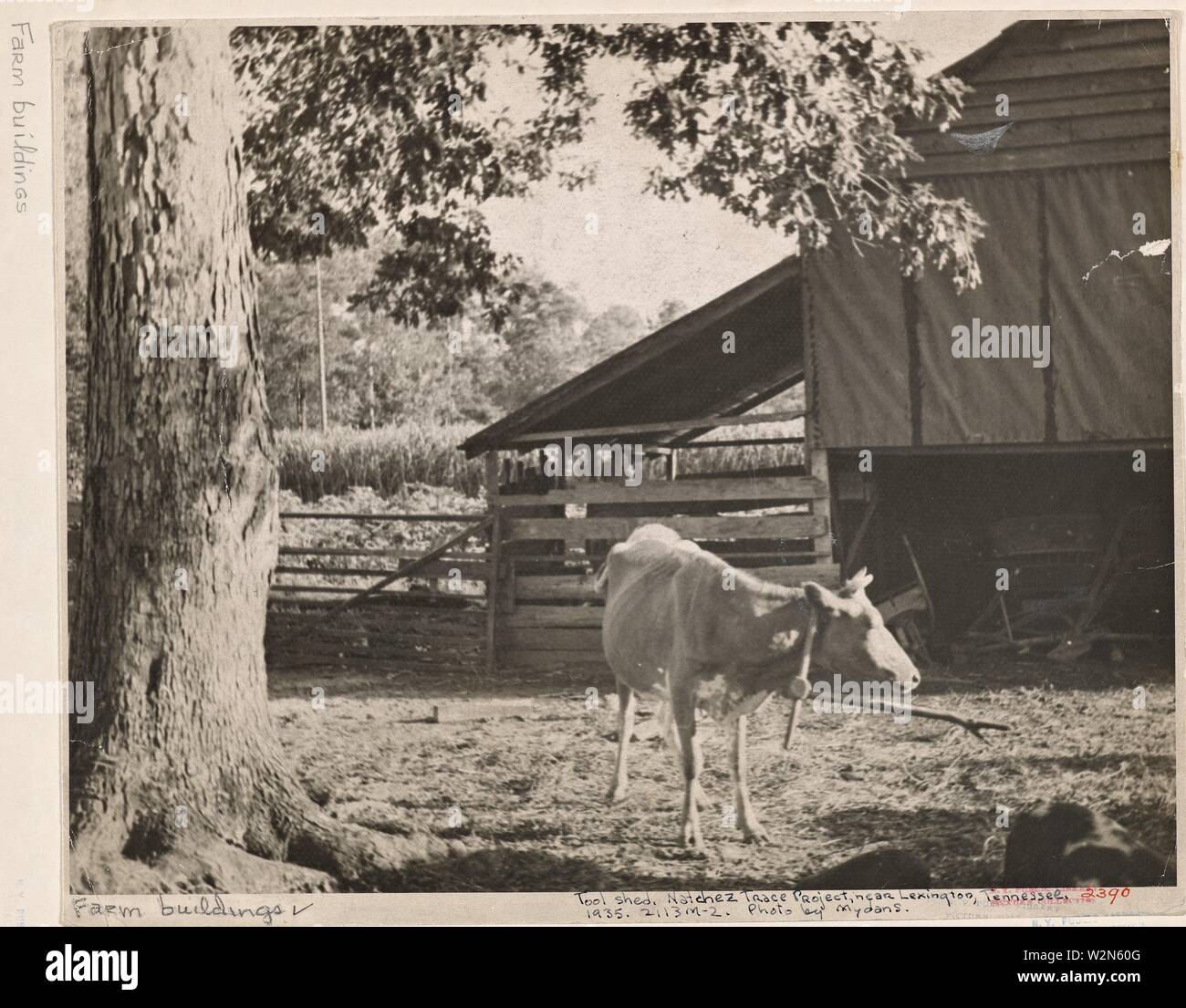 Lexington tennessee hi-res stock photography and images - Alamy