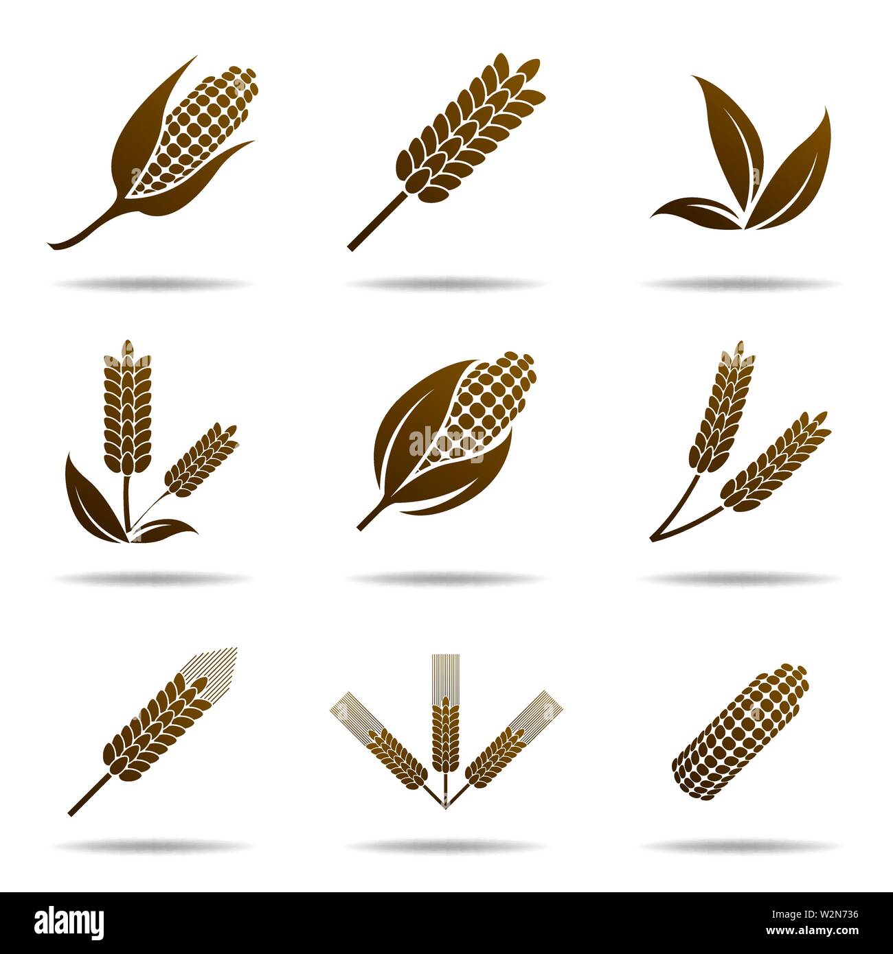 Wheat and rye. Elements for design. Icon set Stock Vector Image & Art ...