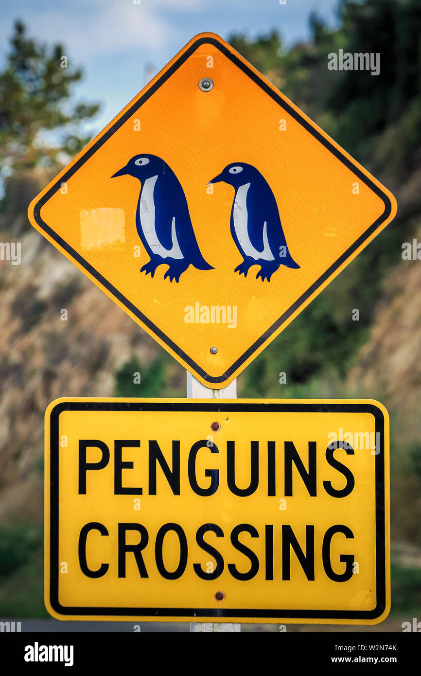Penguin crossing sign at Oamaru in the South Island of New Zealand ...