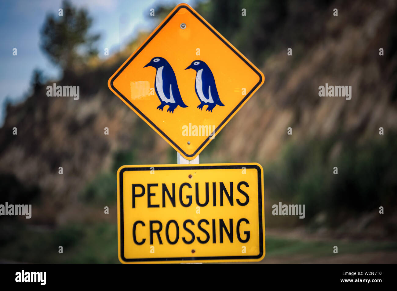 Penguin crossing sign at Oamaru in the South Island of New Zealand ...