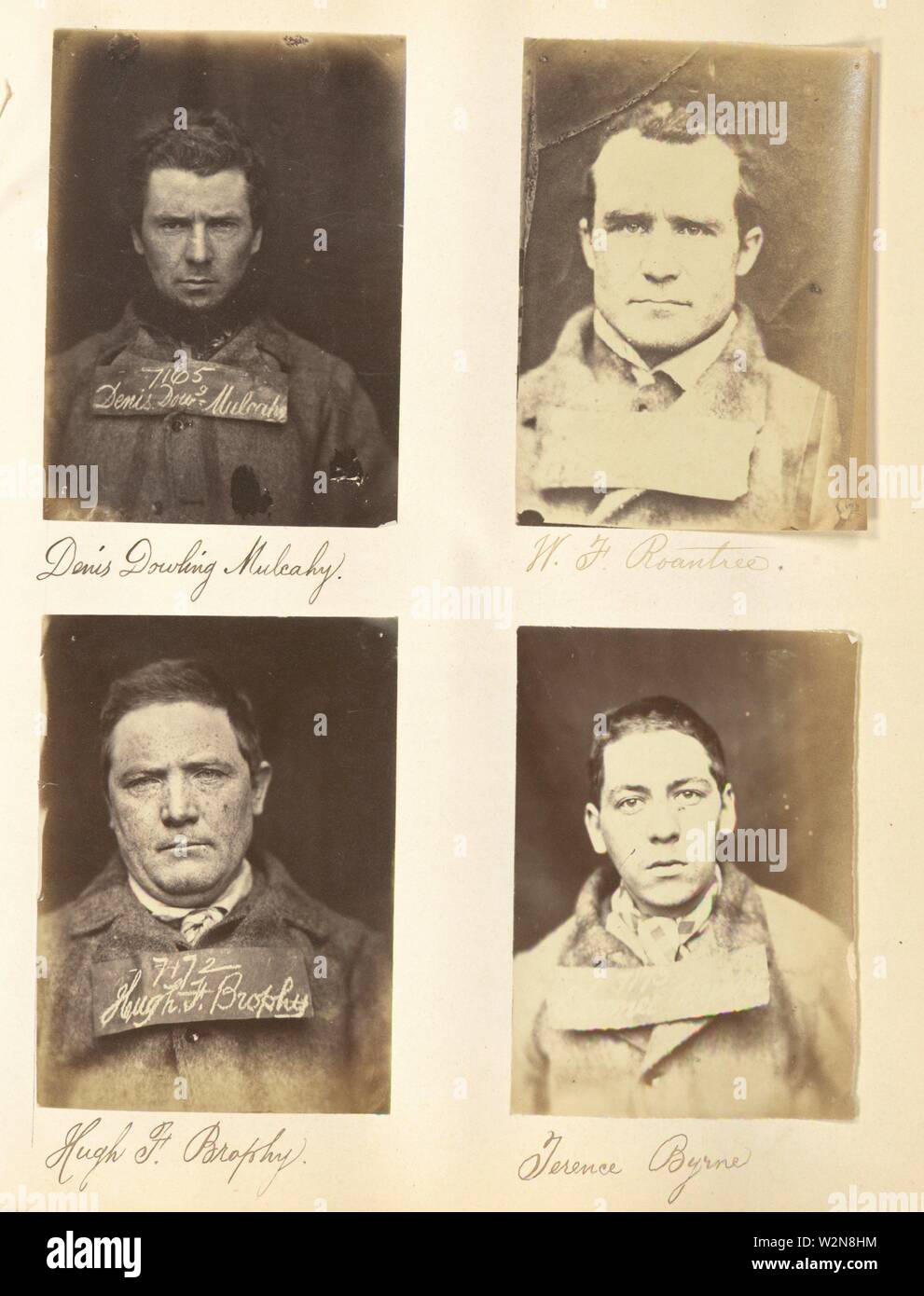 Wf image hi-res stock photography and images - Alamy