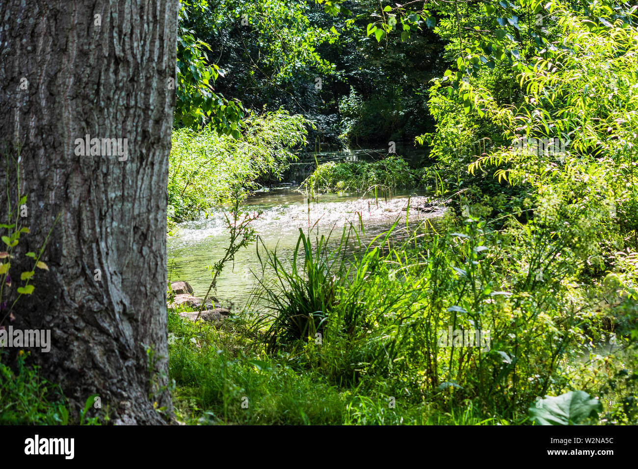A stream with a shallow step cascading over stones sparkling in ...