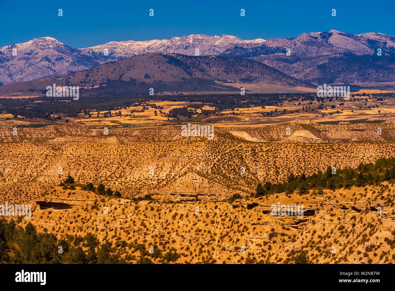 Seismic Wave High Resolution Stock Photography and Images - Alamy