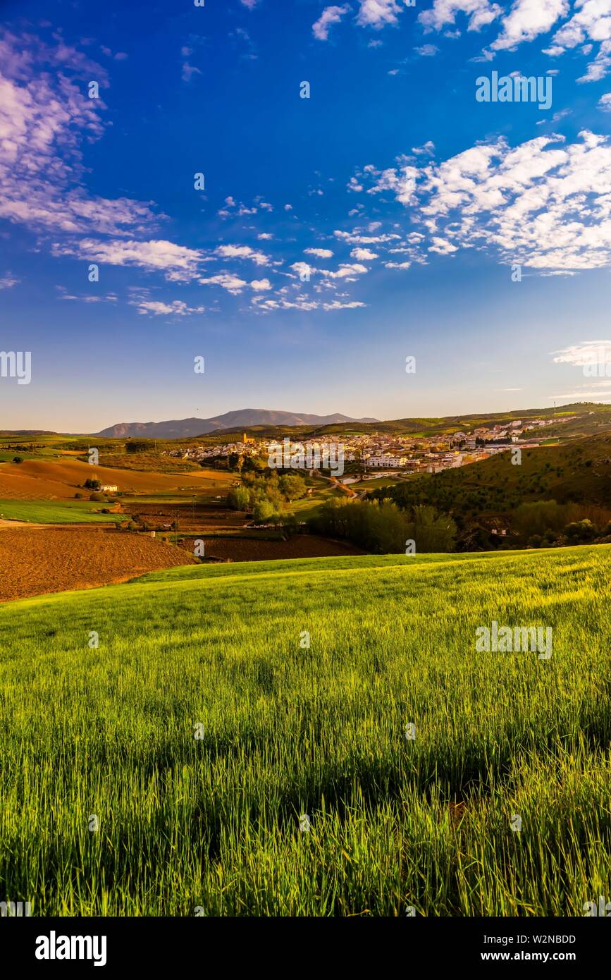 Alhama High Resolution Stock Photography and Images - Alamy