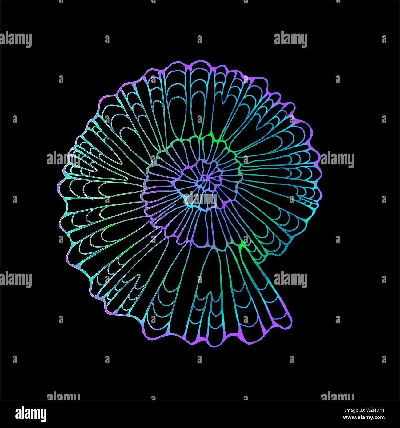 Color illustration of a petrified snail shell Stock Vector Image & Art ...