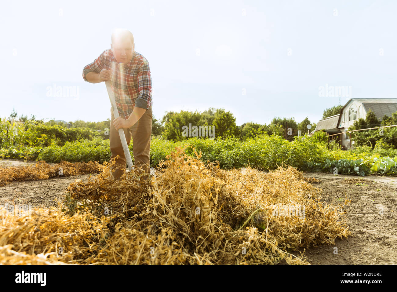 Young farmer working at his garden in sunny day. Man engaged in the ...