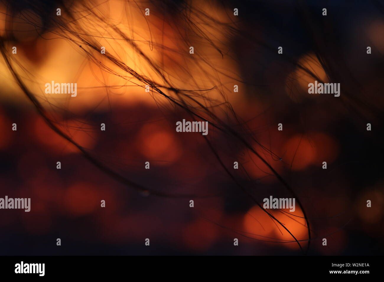 Light of a fire out of focus, creating a bokeh effect Stock Photo - Alamy