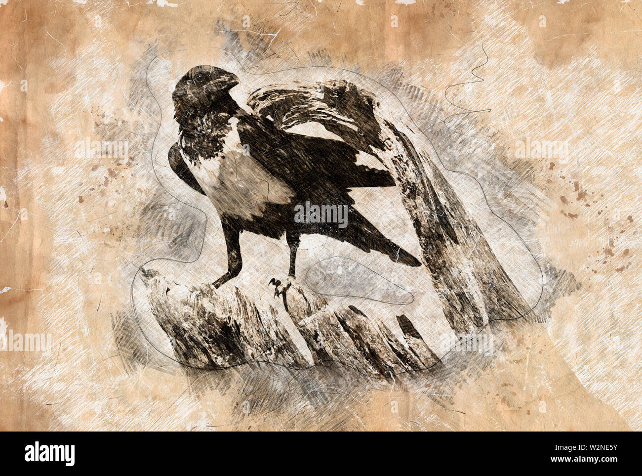 Raven tree insects hi-res stock photography and images - Alamy