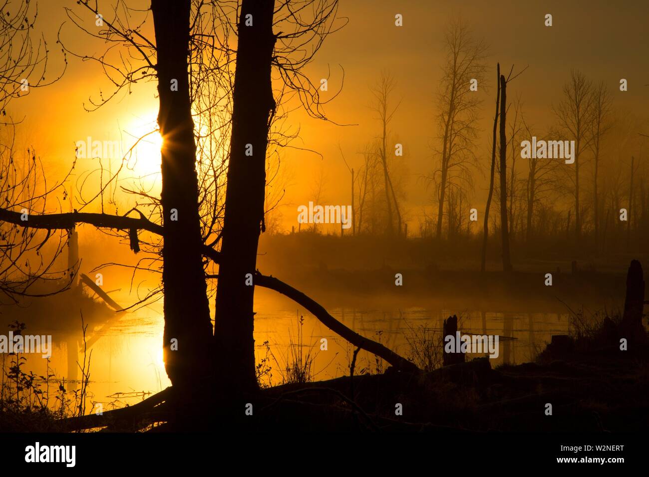 St louis area hi-res stock photography and images - Alamy