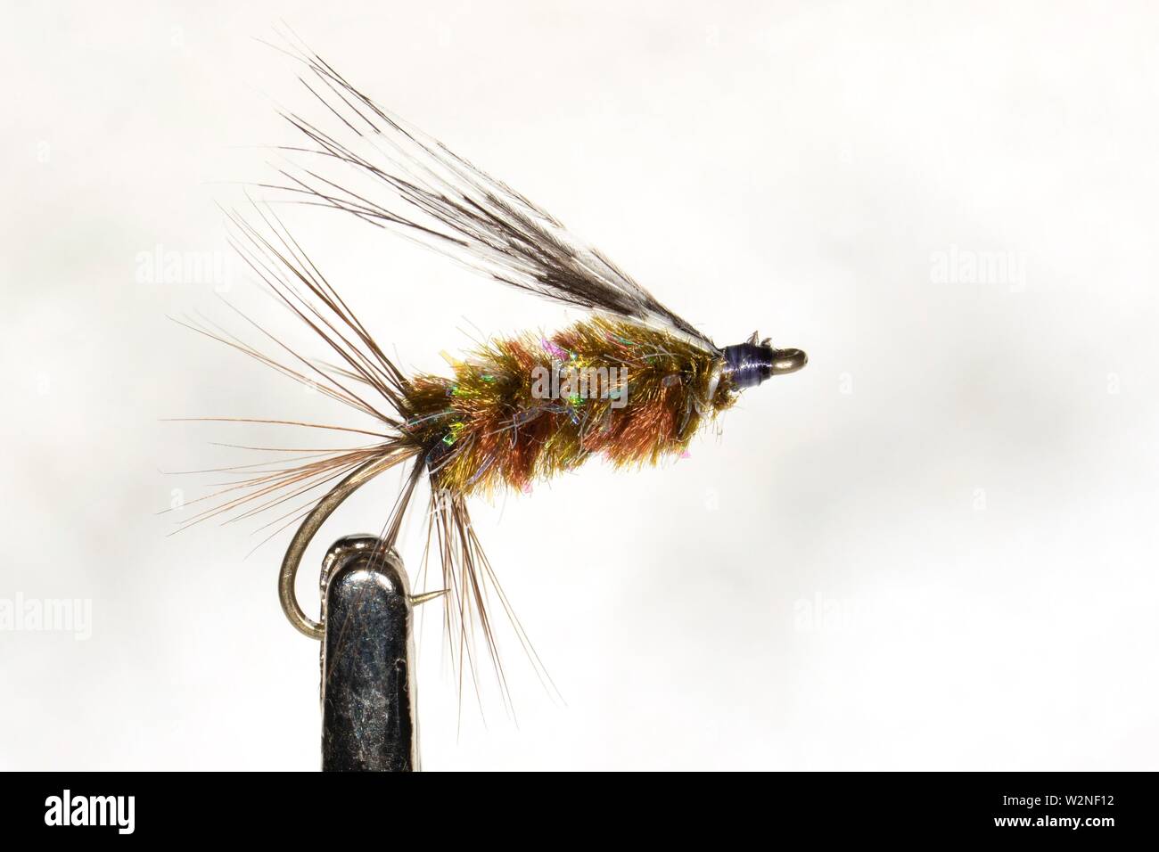 Sheep Creek special fishing fly Stock Photo - Alamy
