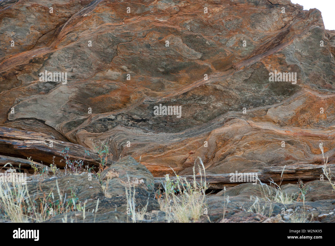 Namib desert sand rocks hi-res stock photography and images - Alamy