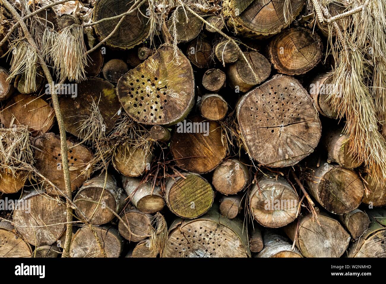 Log den hi-res stock photography and images - Alamy
