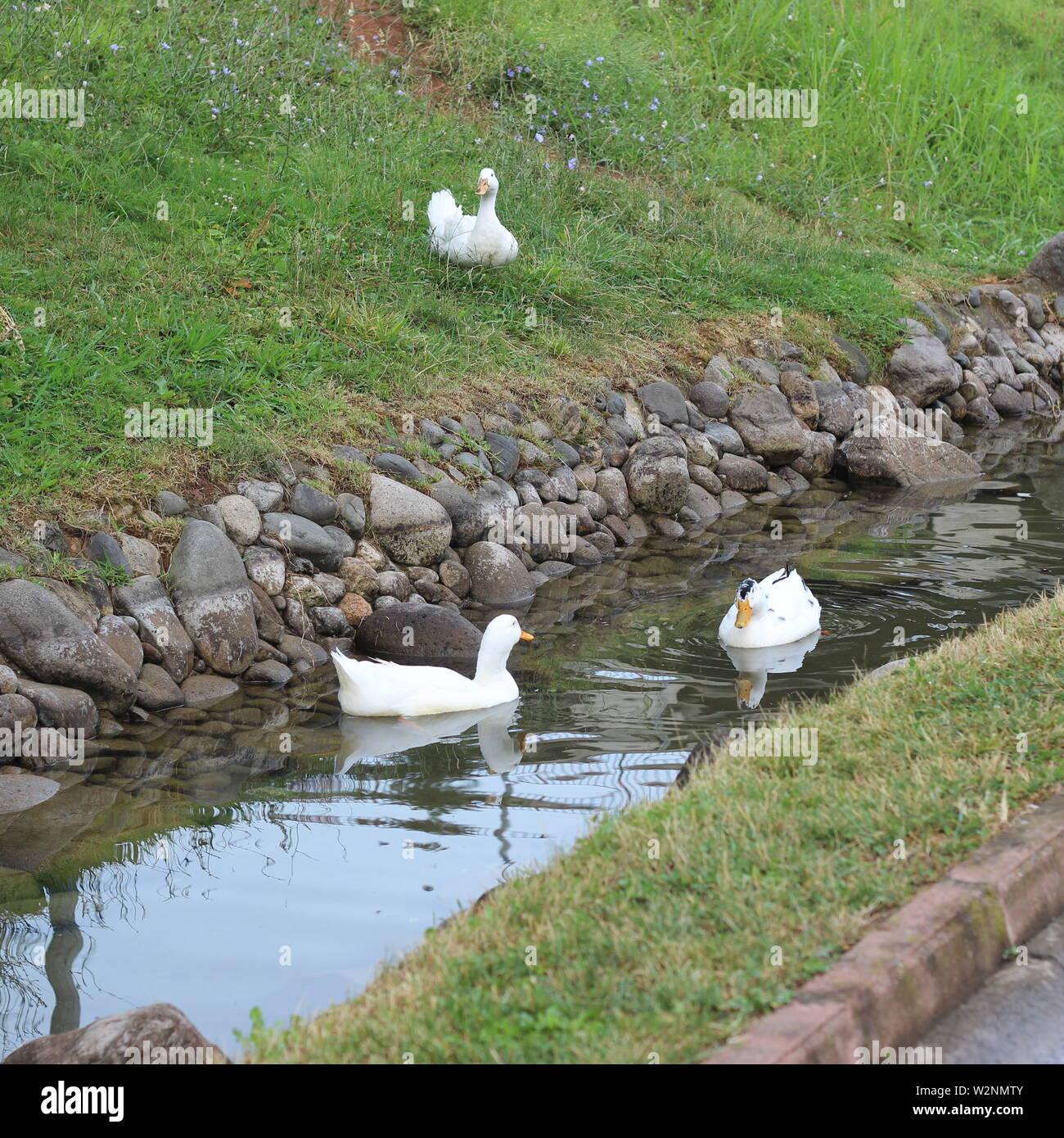 Simple and beautiful Stock Photo - Alamy