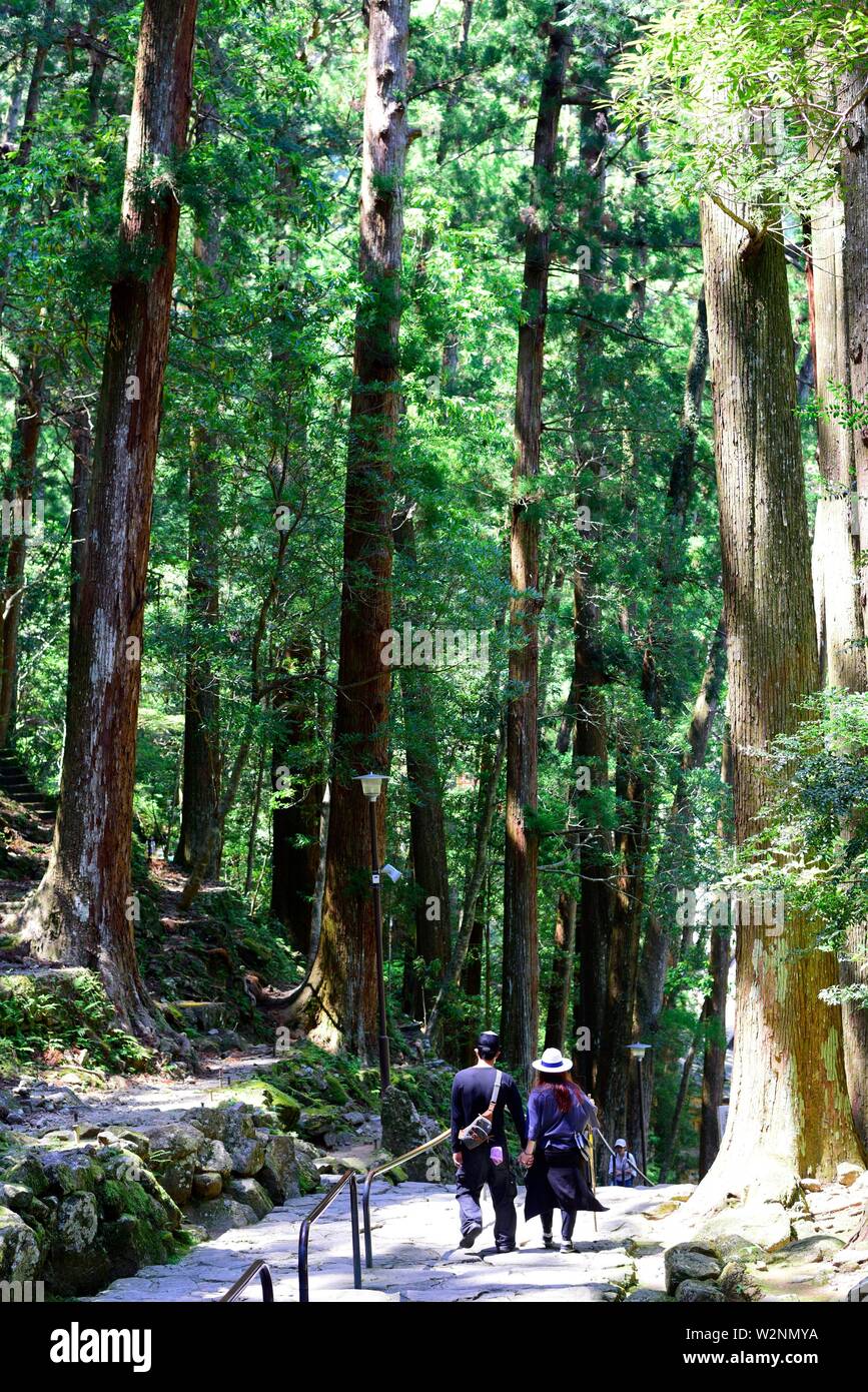 Japan trail hi-res stock photography and images - Alamy