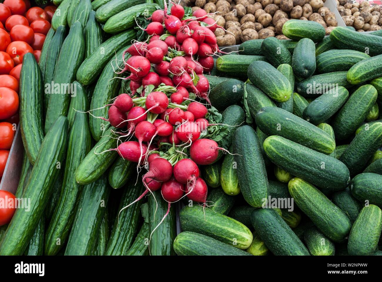 Fenno scandinavia hi-res stock photography and images - Alamy