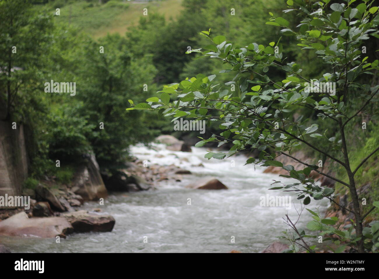 Simple and beautiful Stock Photo - Alamy