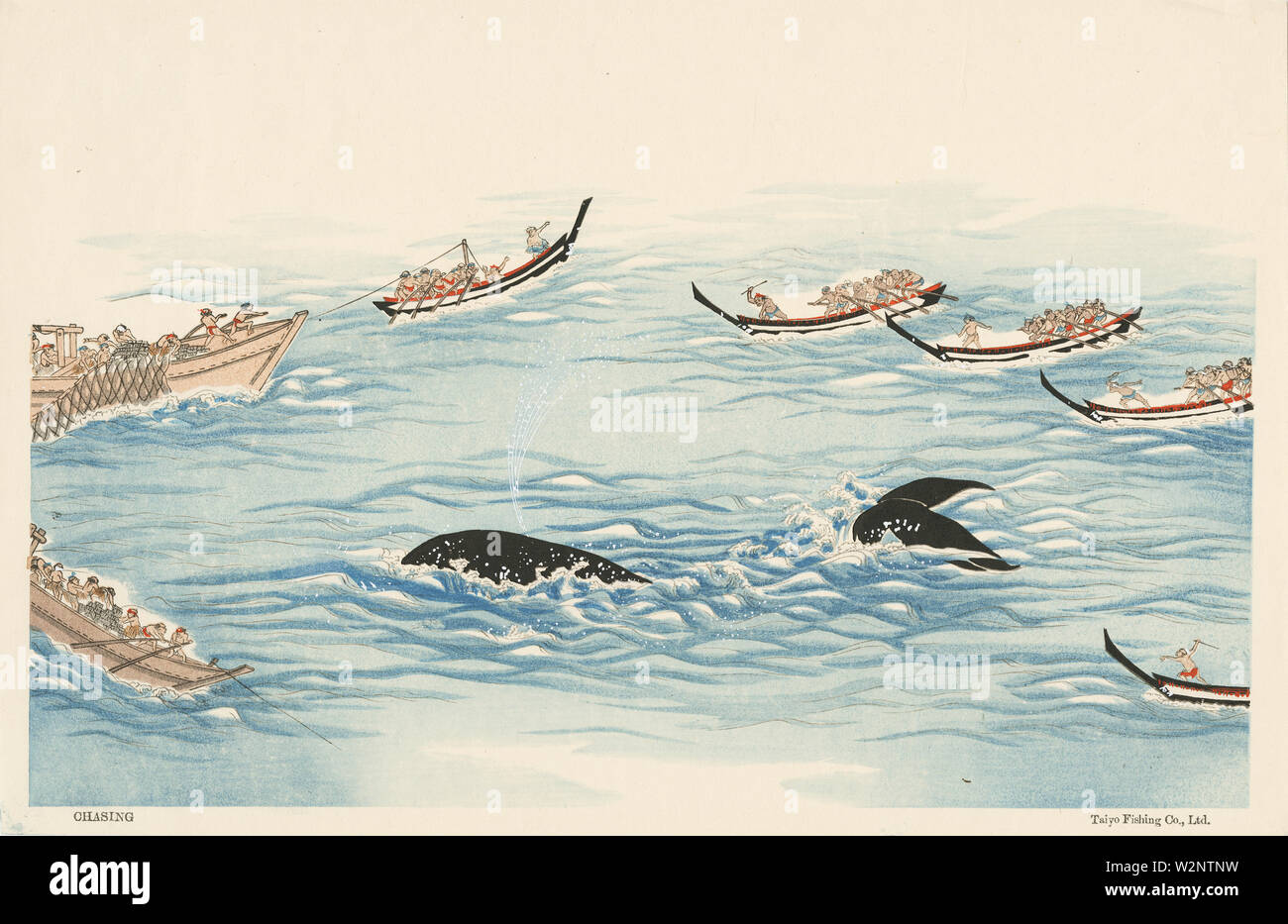 Maki E High Resolution Stock Photography and Images - Alamy