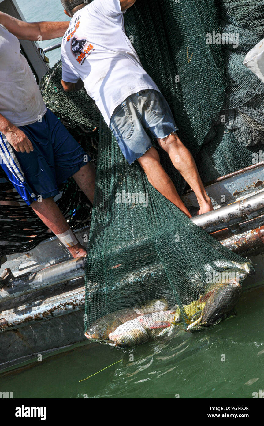 Sea of galilee fishing hi-res stock photography and images - Alamy
