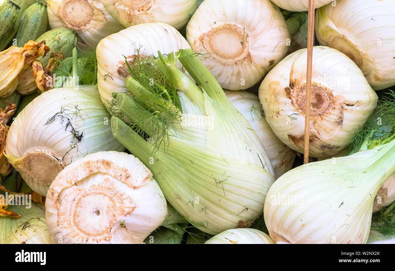 Various vegetables carrots exposed hi-res stock photography and images ...