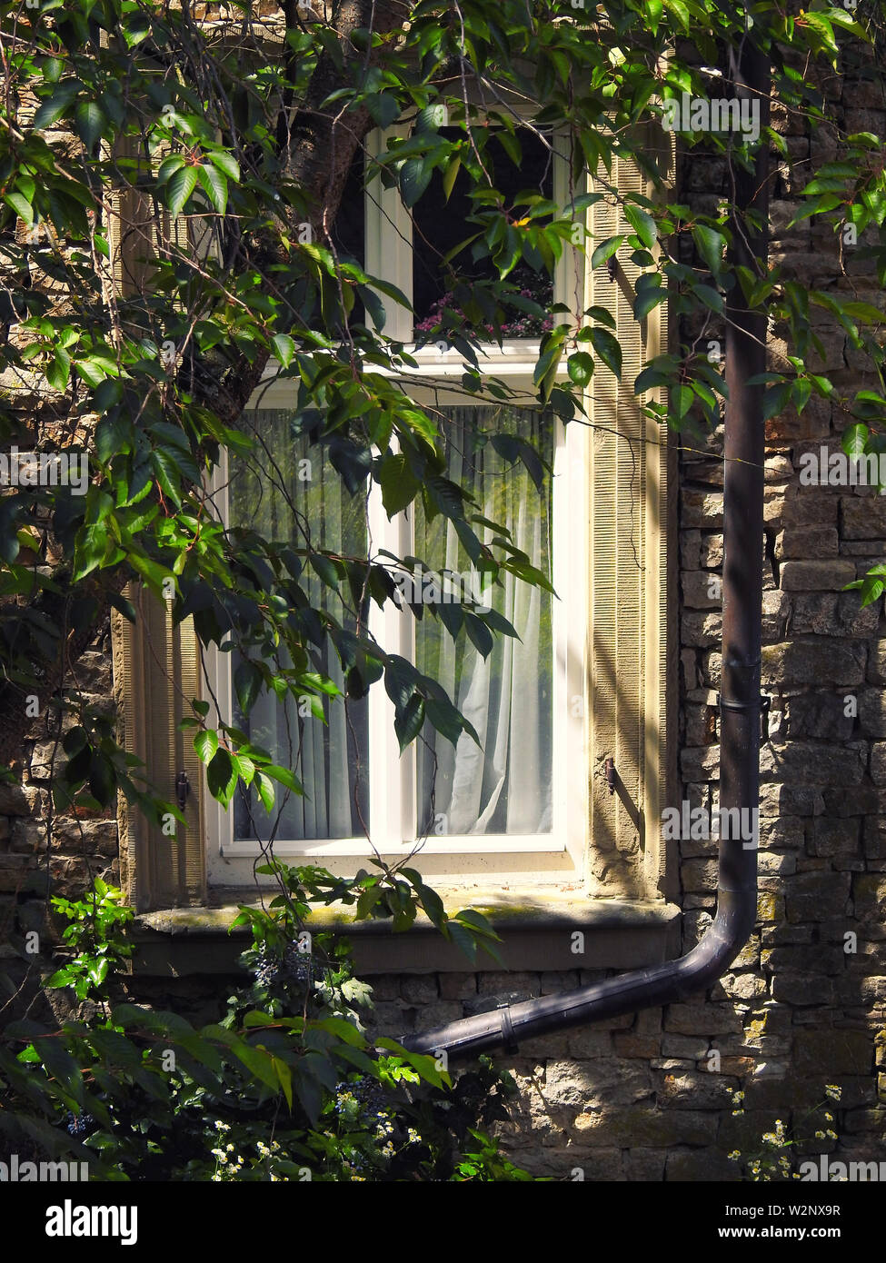 Old window in the backyard Stock Photo - Alamy