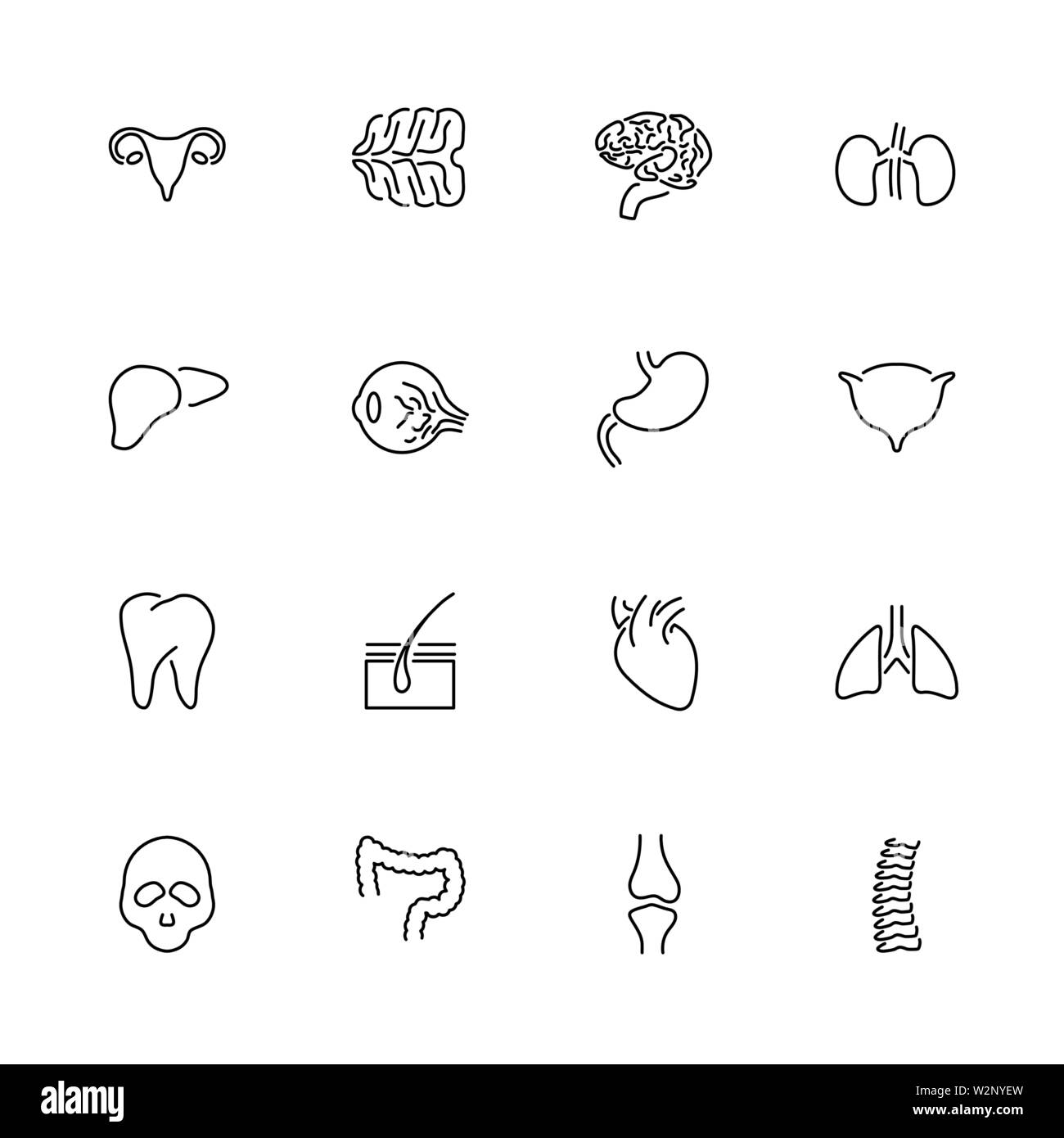Human Organs, Transplantation outline icons set - Black symbol on white ...