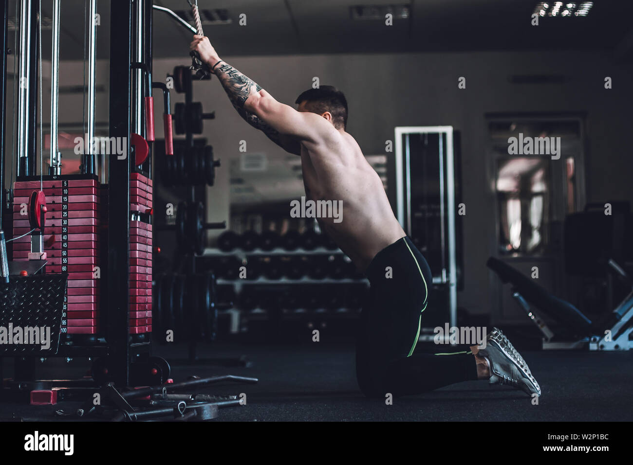 Male athlete bodybuilder performs hi-res stock photography and images ...