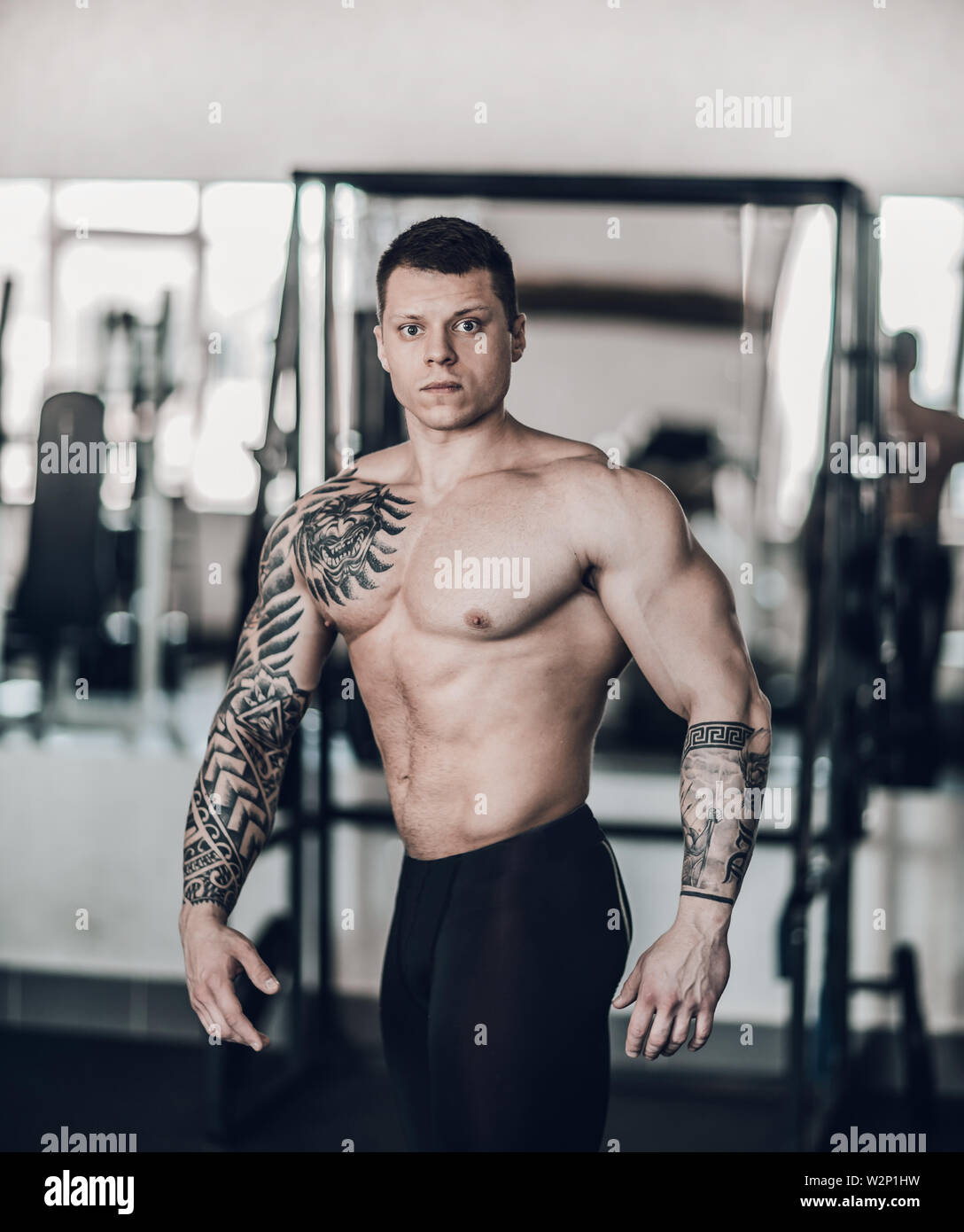 beautiful bodybuilder trainer showing off his body . photo with copy ...