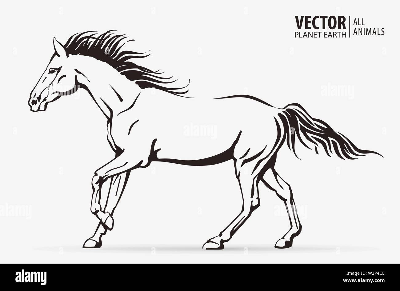 Horse Running Vector