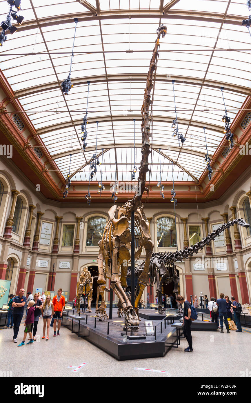 Verwunderlich Lwlmuseum Fr Naturkunde Fotos
