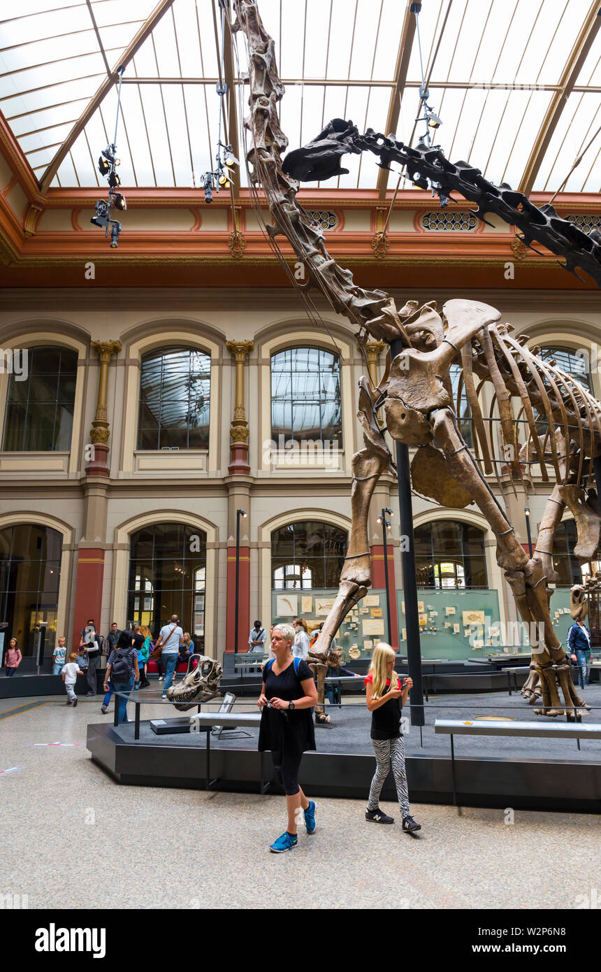 The Museum für Naturkunde (MfN), the Naturkundemuseum or Humboldt ...