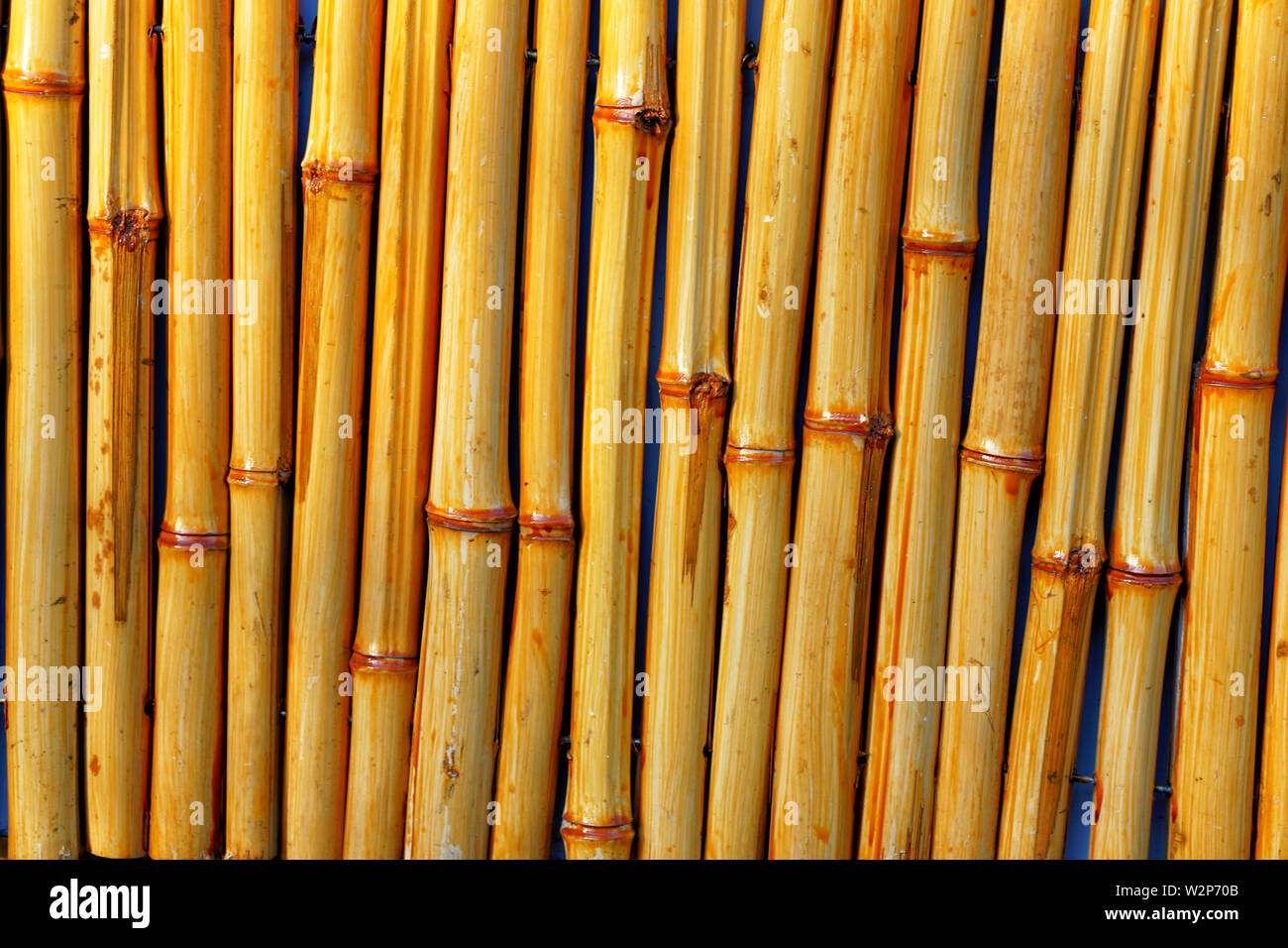 Natural dry Background texture bamboo vertical arrangement of trunks ...