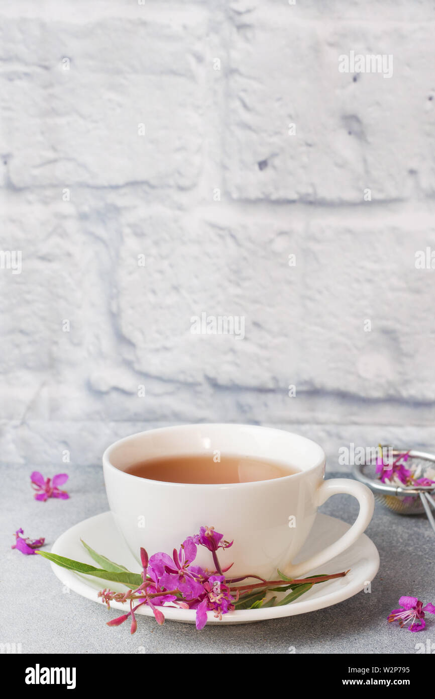 Useful herbal tea from fermented leaves fireweed on grey background ...