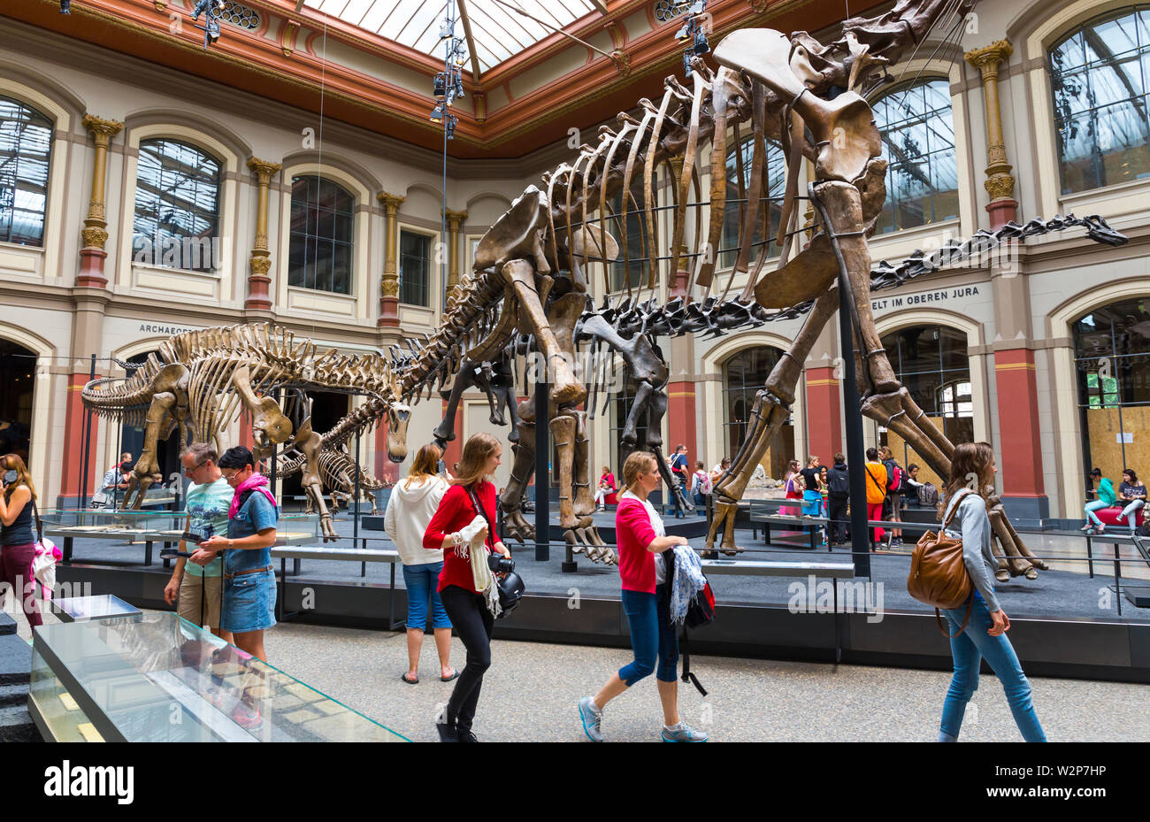 Verwunderlich Lwlmuseum Fr Naturkunde Fotos
